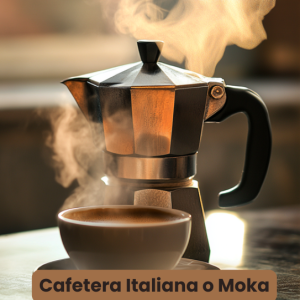 >> Rueda de Sabores del Café: Guía Completa para una Cata Perfecta